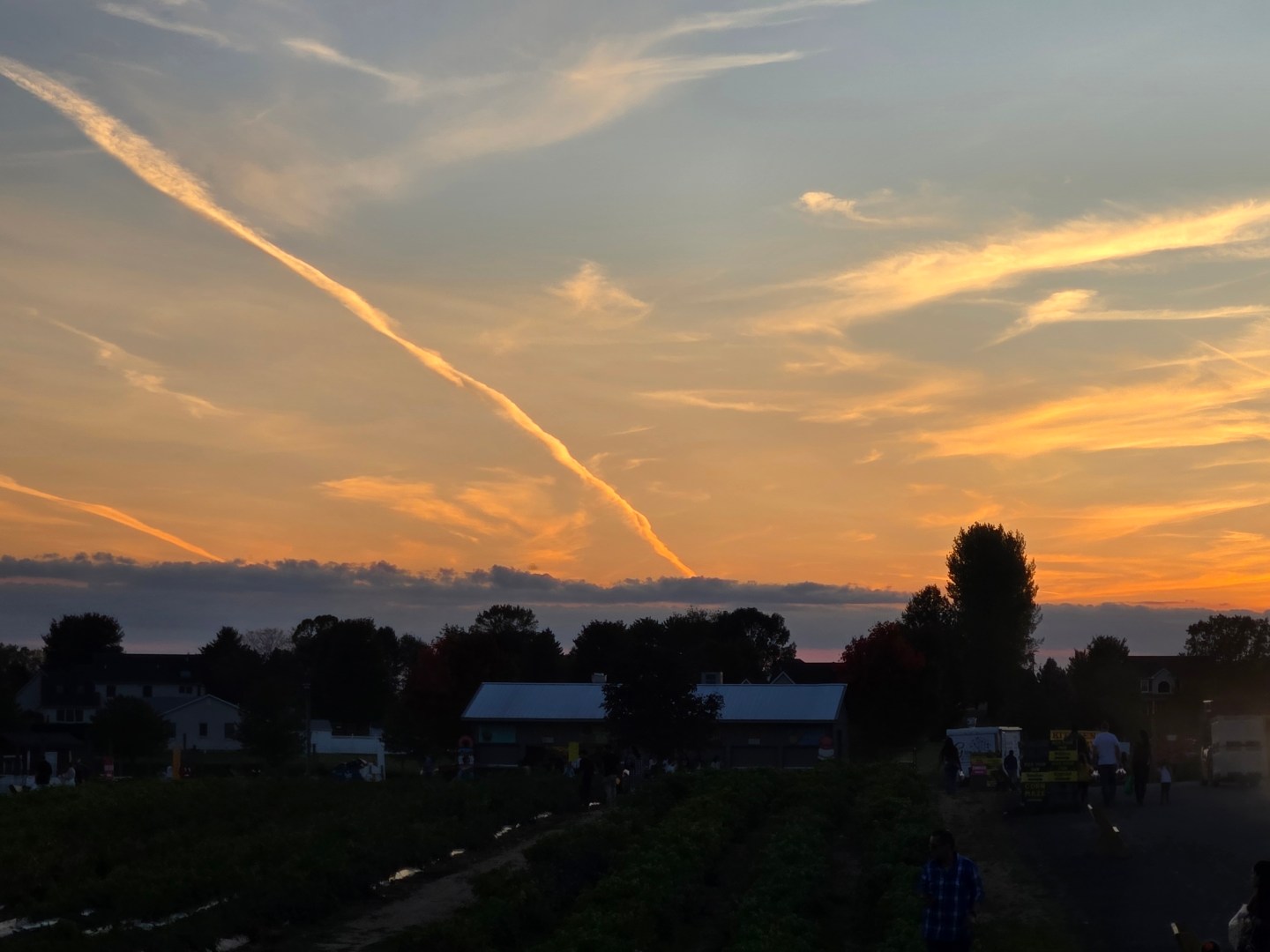 Look Up! – The Captivated Catholic